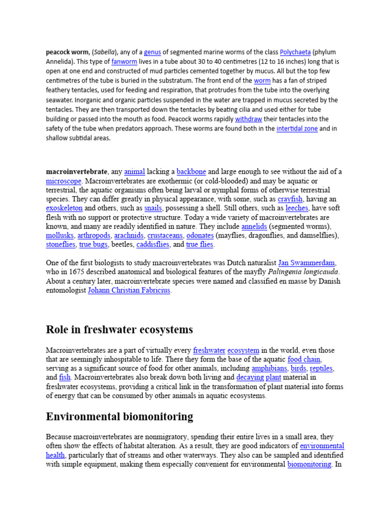 Peacock Worm | PDF | Aquatic Ecosystem | Invertebrate