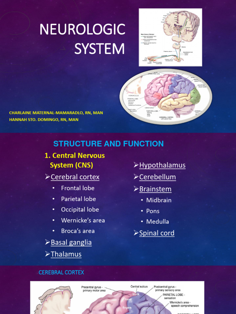 Neuro Assessment | PDF | Coma | Central Nervous System