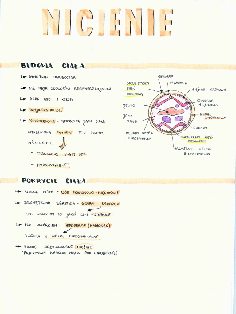 Nicienie | PDF