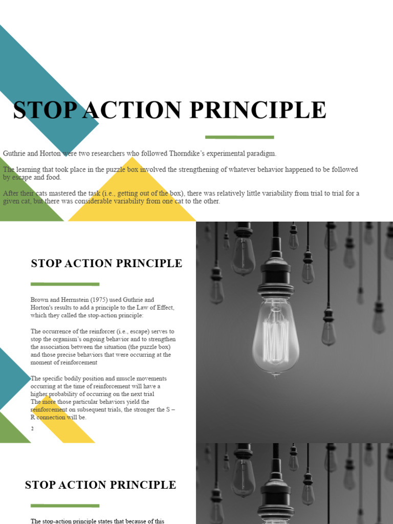 Understanding the Stop-Action Principle | PDF | Reinforcement ...