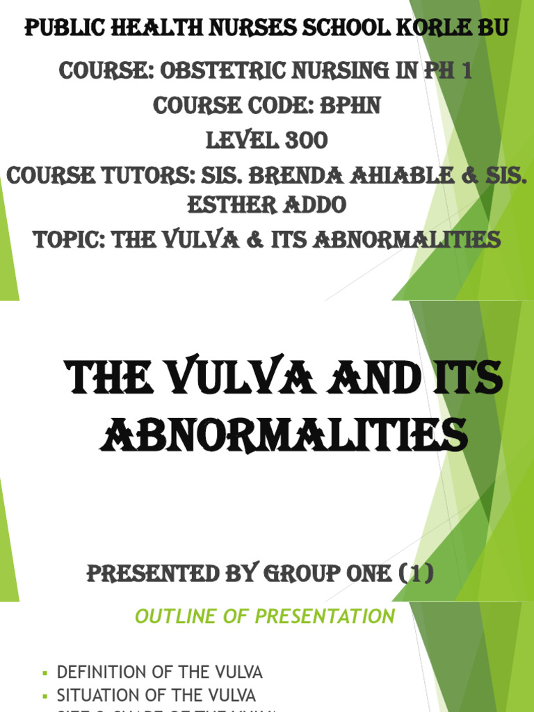 The Vulva & Its Abnormalities | PDF | Labia | Vagina