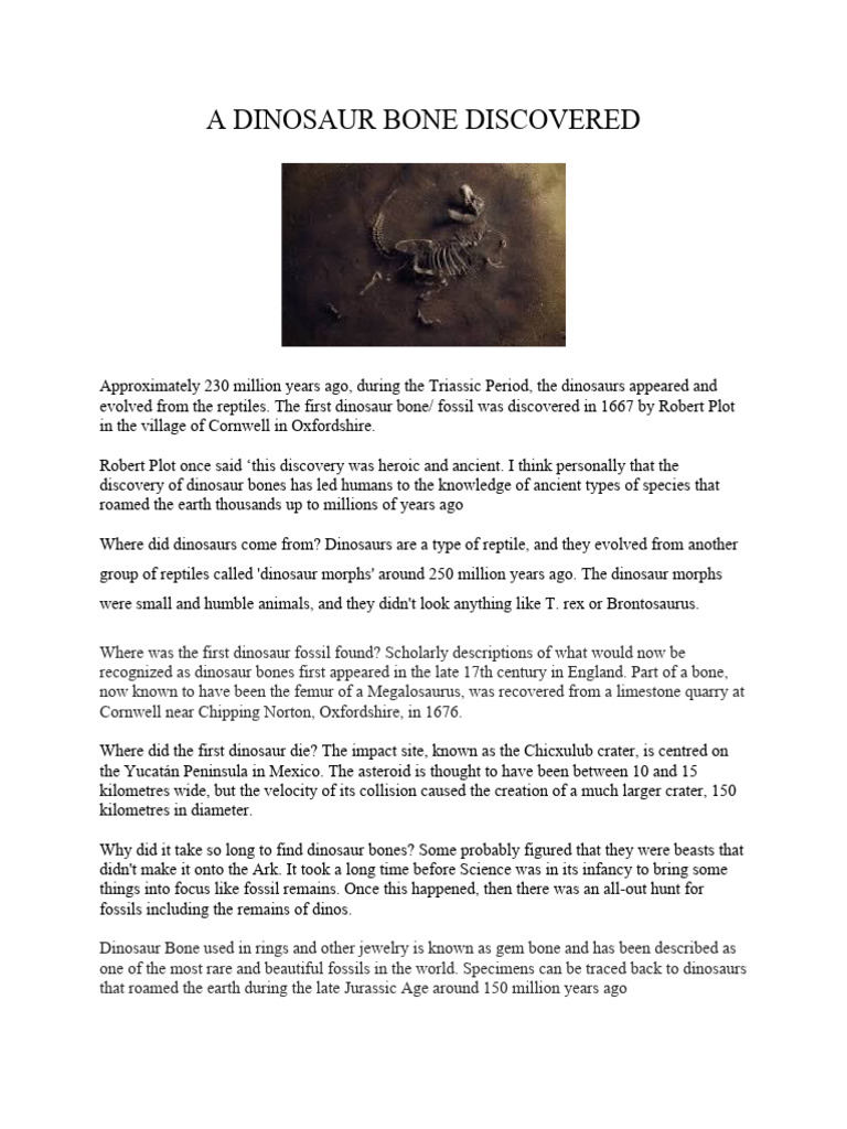 A Dinosaur Bone Discovered | PDF | Dinosaurs | Fossil