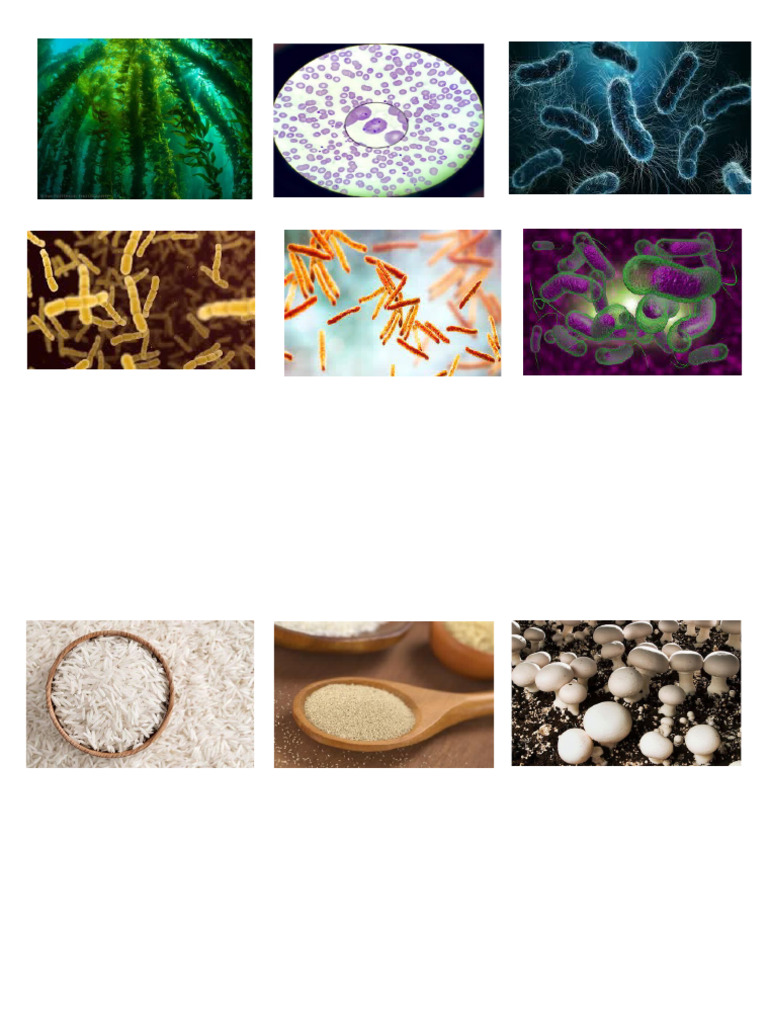 Common-Species GENBIO | PDF