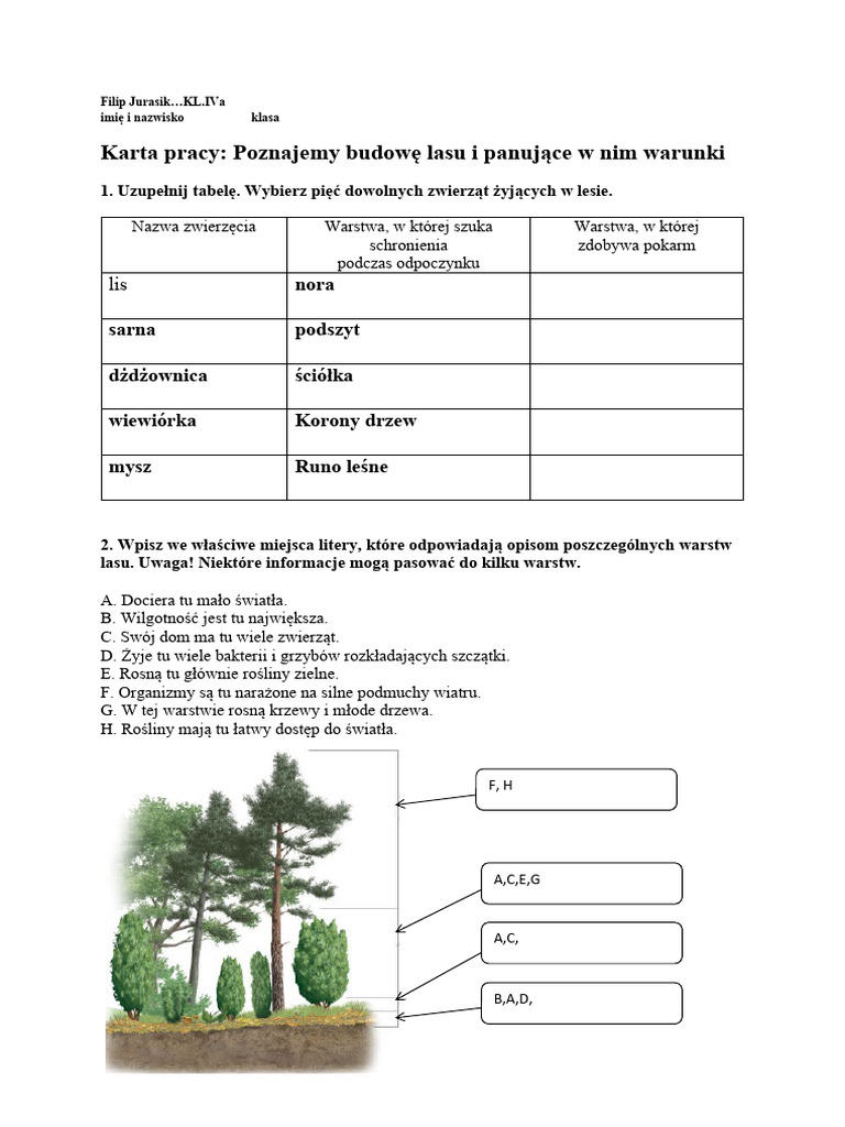 Karta - Warstwy Lasu | PDF