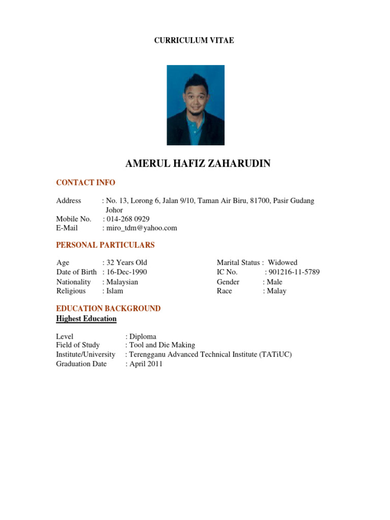 CV Amerul Hafiz 2022 Updated | PDF | Pump | Valve