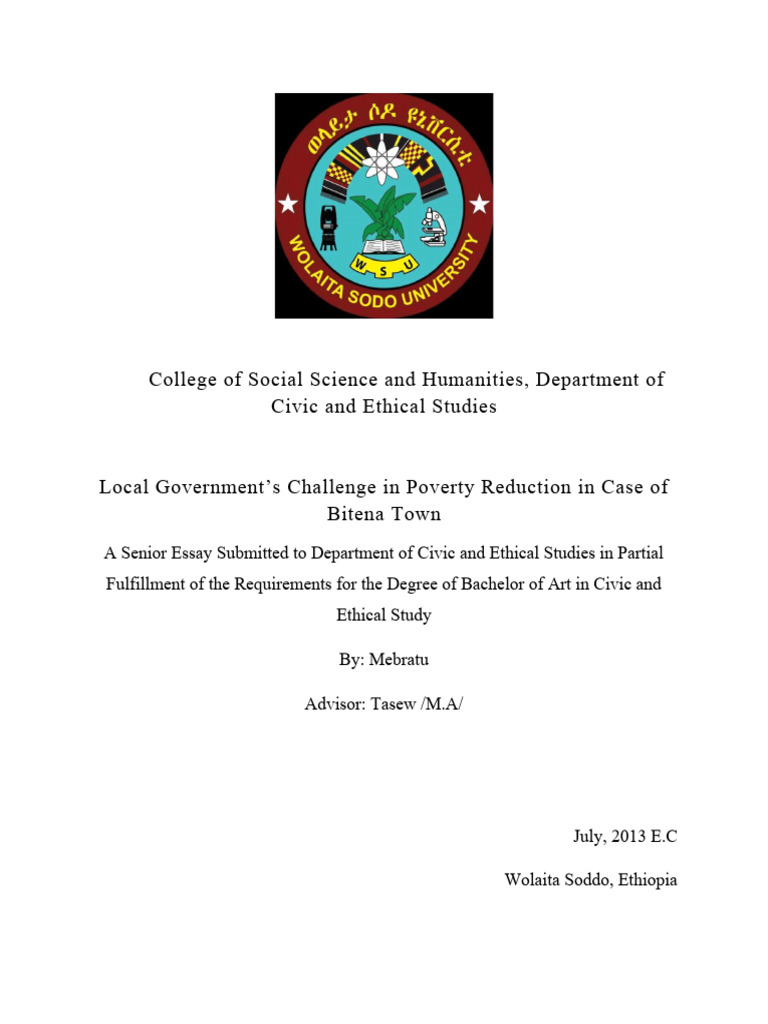 Local Government Poverty Challenges in Bitena | PDF | Microfinance | Taxes
