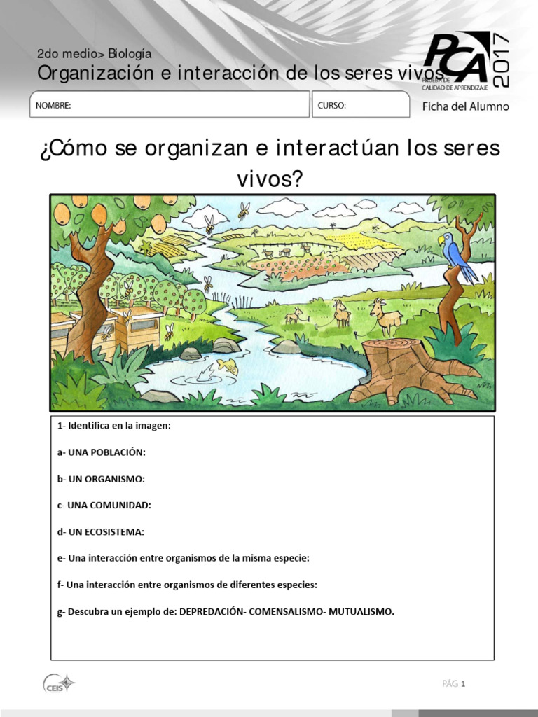 Pca Interacciones Entre Organismos | PDF | Depredación | Ecosistema