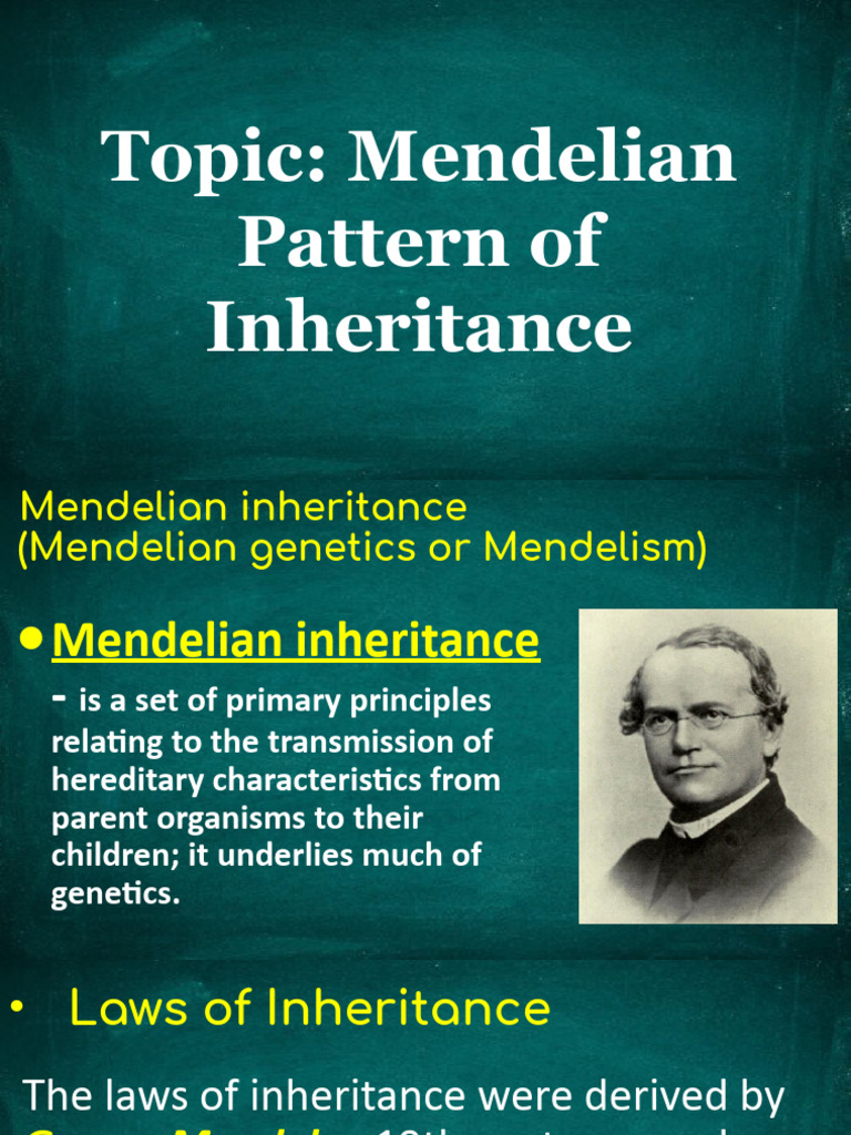 Mendelian Pattern of Inheritance | PDF | Dominance (Genetics) | Genotype