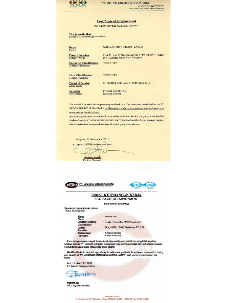 File Edit Dito | PDF