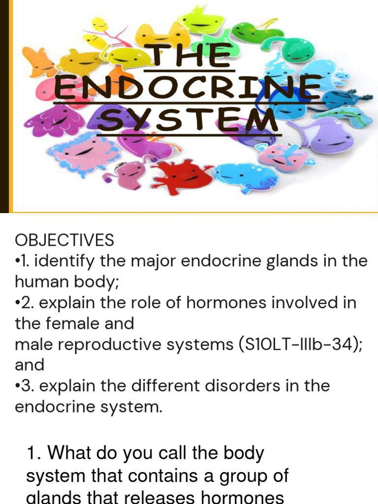 Endocrine System ppt1 | PDF | Endocrine System | Hormone