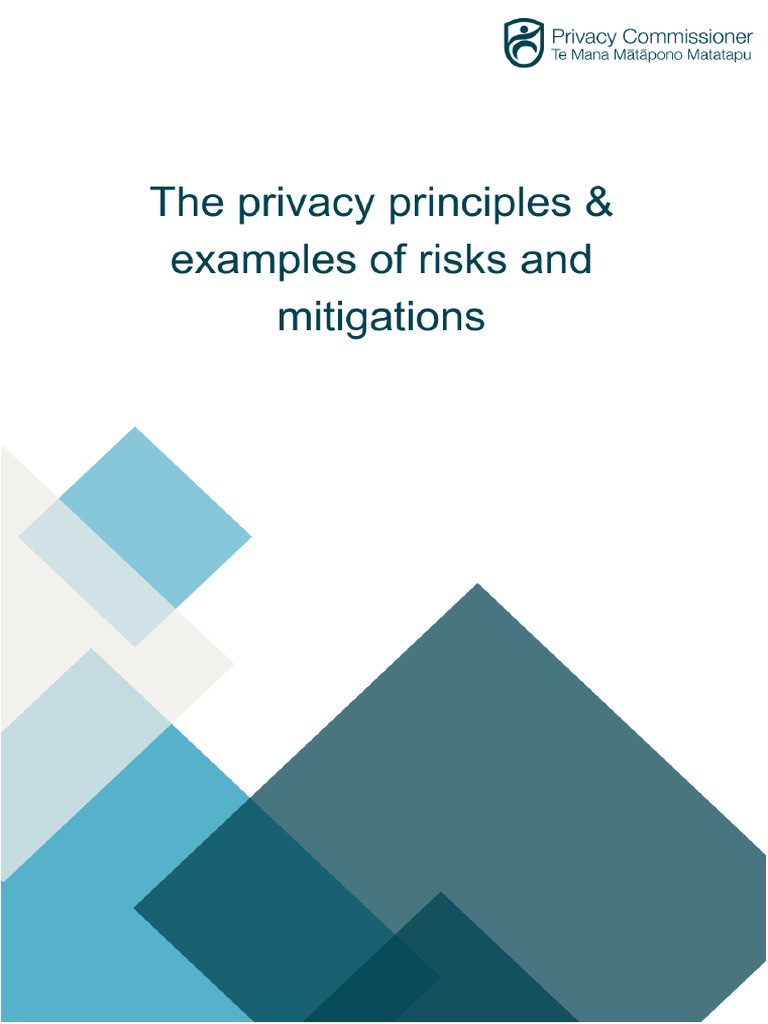 PIA Toolkit The Privacy Principles and Examples of Risks and ...