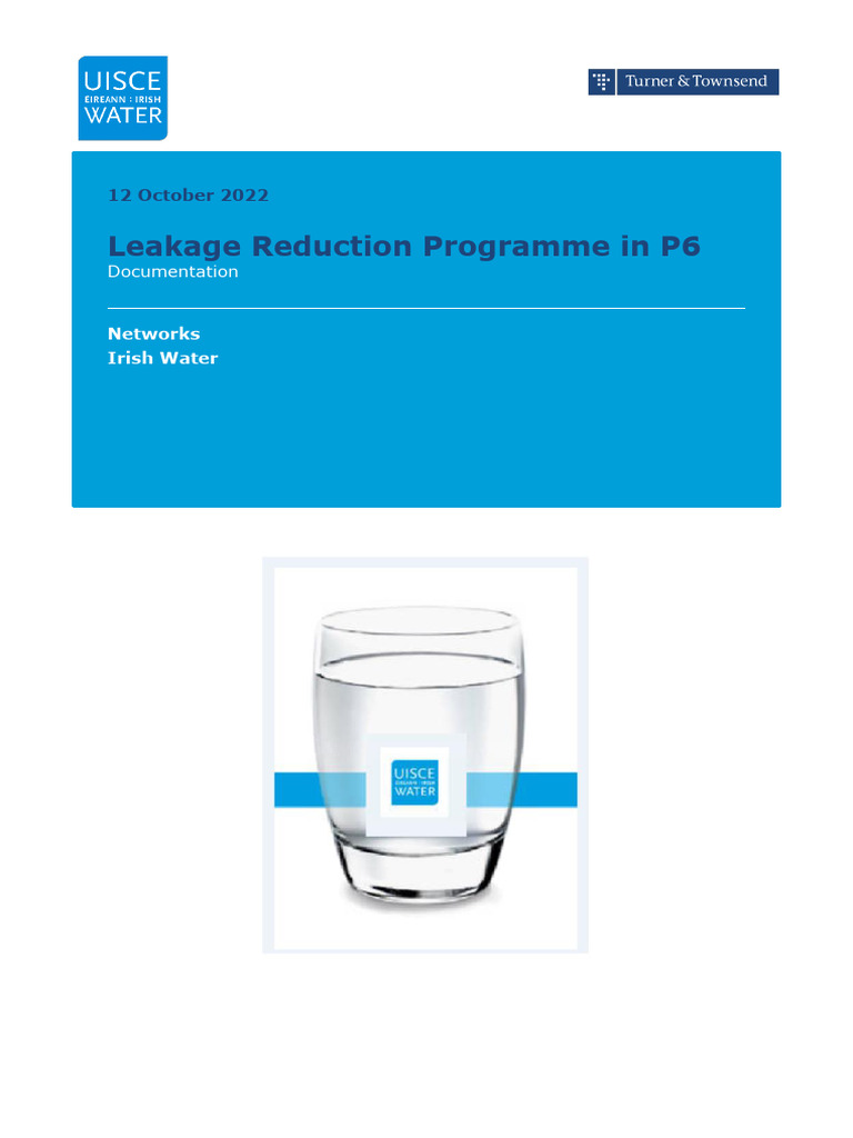 LRP in P6 - Training Manual | Download Free PDF | Leak | Microsoft Excel