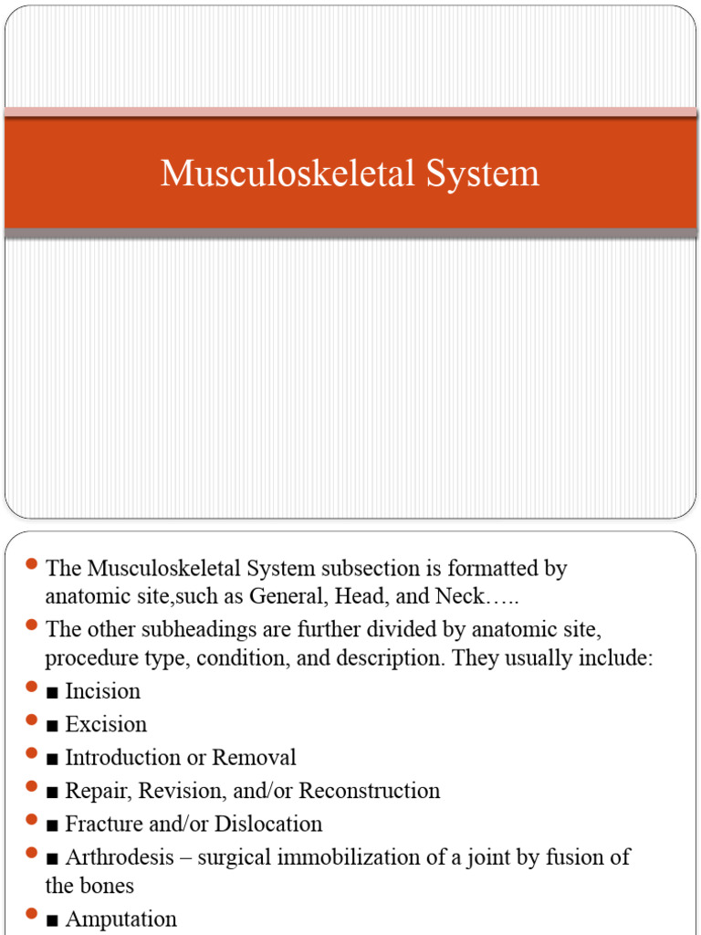 MSK CPT | PDF | Vertebral Column | Vertebra