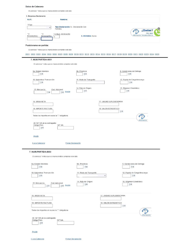 Plantilla INTRASTAT General | PDF