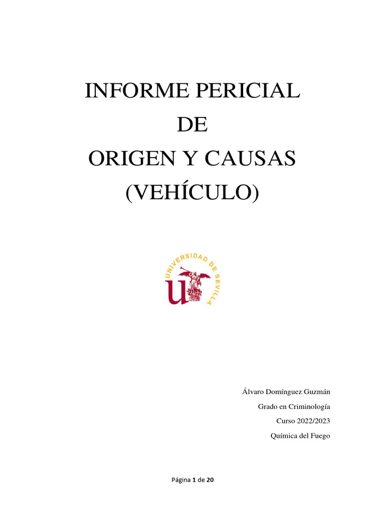 Informe Pericial Vehículo Pdf Testigo Experto Vehículo De Motor