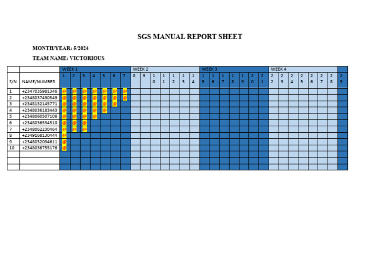 Sgs Manual Report Sheet | PDF | Technology & Engineering | Business