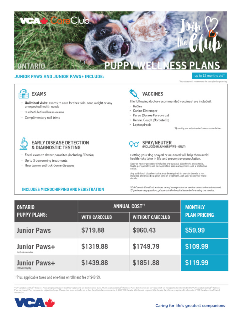 VCAC CareClub PlansAtAGlance On Dog | PDF | Dentistry | Dogs