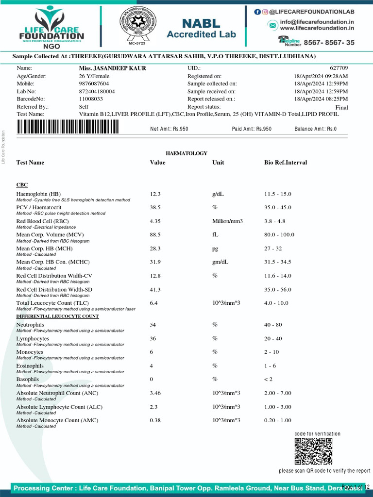 Lab Report New | Download Free PDF | Vitamin D | Vitamin B12