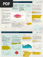 Biology Membranes A-Level OCR Notes | PDF | Cell Membrane | Biotechnology