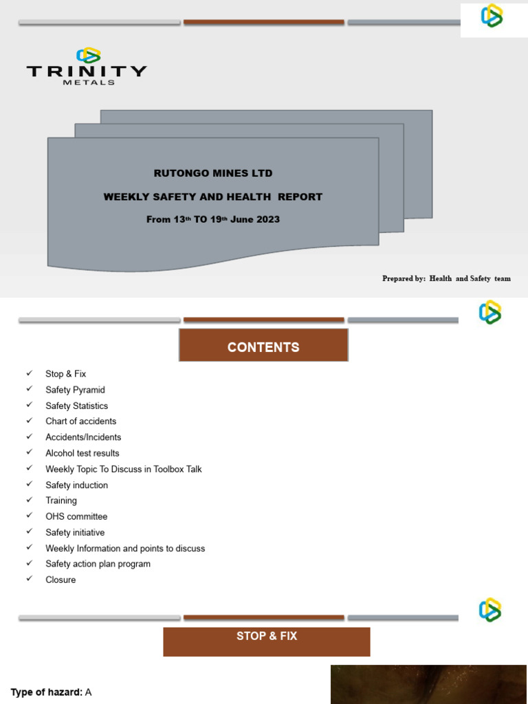 Weekly H & Safety Report From 13 To 19 June 2023 | PDF | Occupational ...