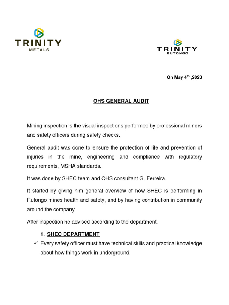 Ohs Audit | PDF | Safety | Occupational Safety And Health