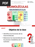 Introduccion A Los CHONPS | PDF | Alimentos | Nutrientes