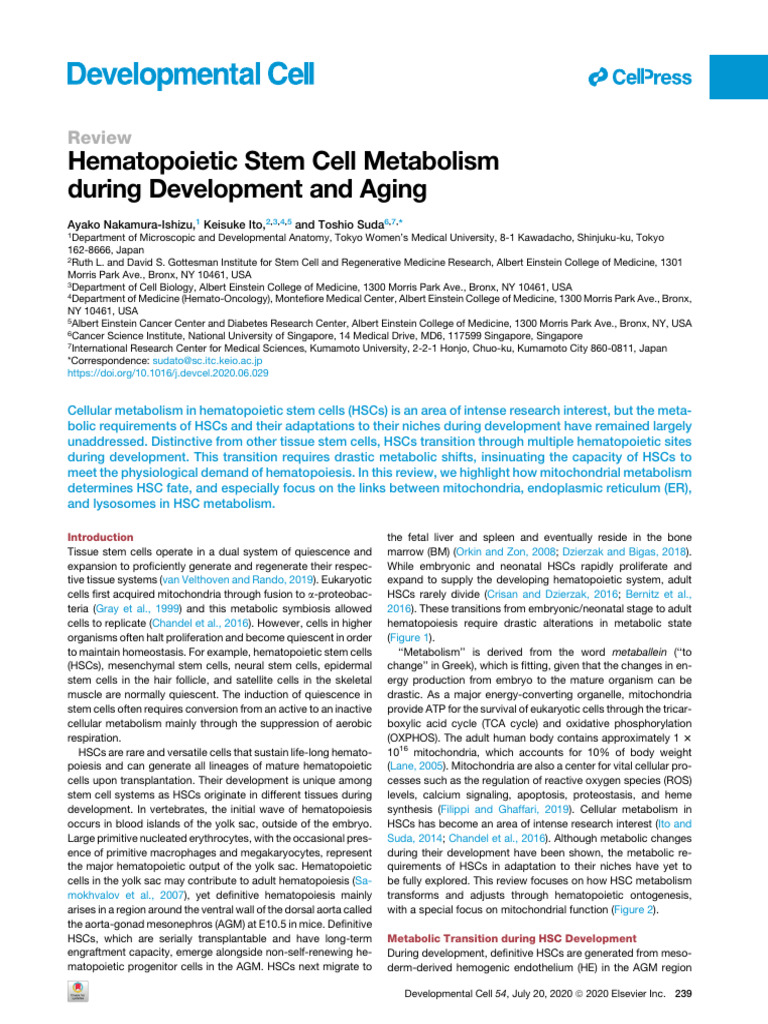 Hematopoietic Stem Cell Metabolism | Download Free PDF | Hematopoietic ...