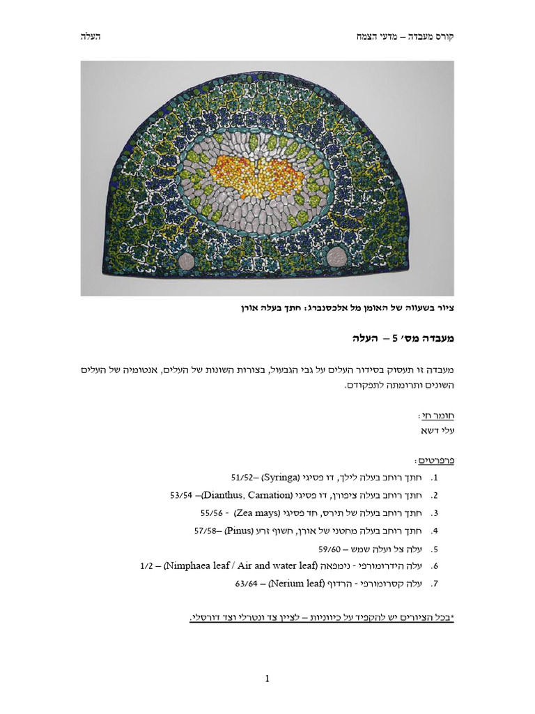 The Leaf | PDF