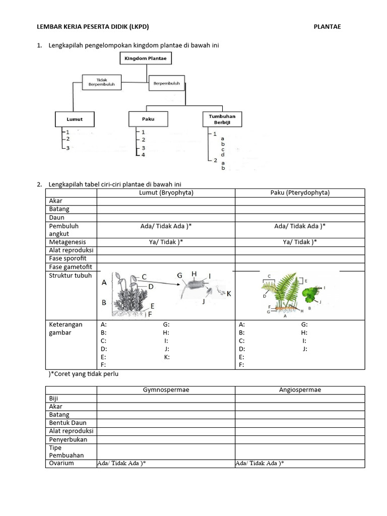 Klasifikasi dan Ciri-Ciri Tumbuhan Plantae | PDF | Sains & Matematika
