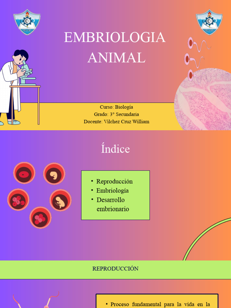 Embriologia Animal 3° Sec | PDF | Embrión | Biología del desarrollo