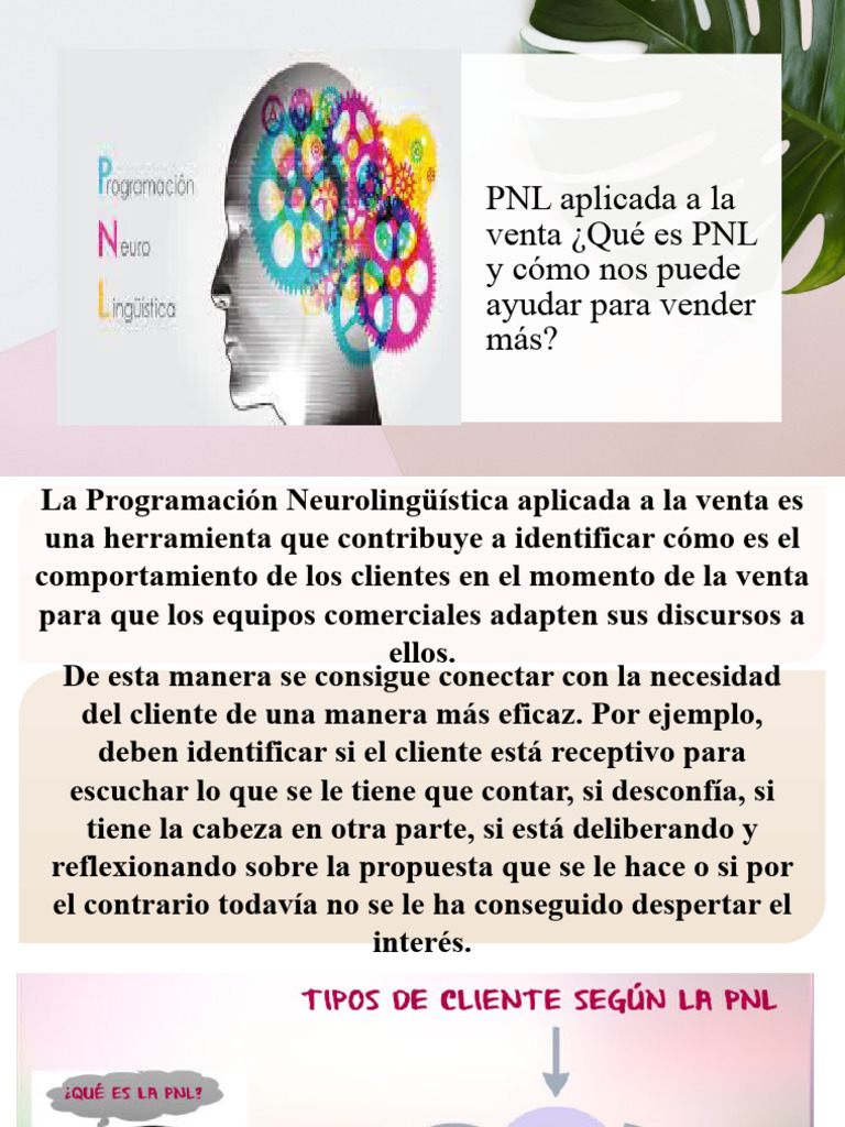 PNL para mejorar ventas efectivas | PDF | Negocios | Derecho