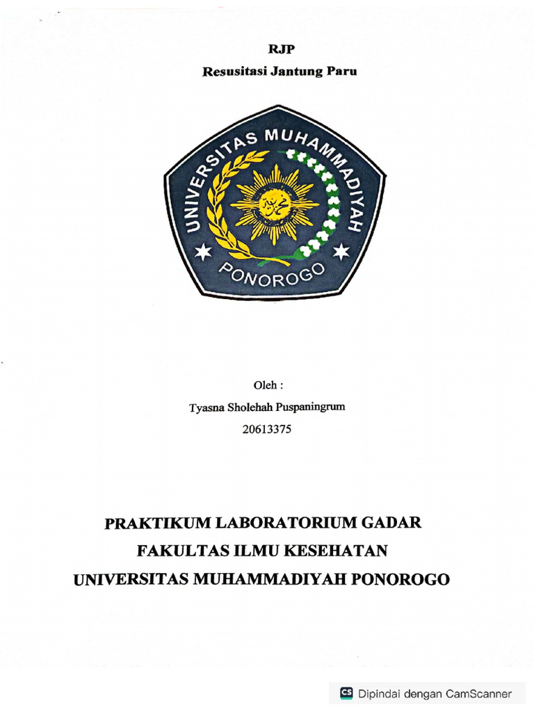 resume RPJ dan TRIAGE | PDF