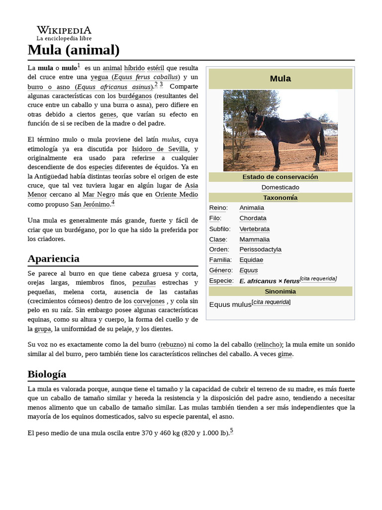 Características y origen de la mula | PDF | Mula | Equus (Género)
