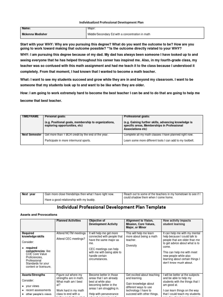 Professional Development Plan | PDF | Teachers | National Council Of ...