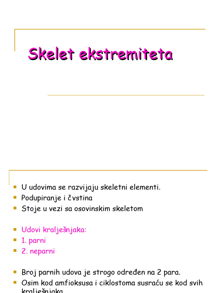 6 - Skelet Ekstremiteta | PDF