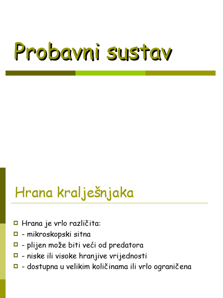 11c-Probavni Sustav | PDF