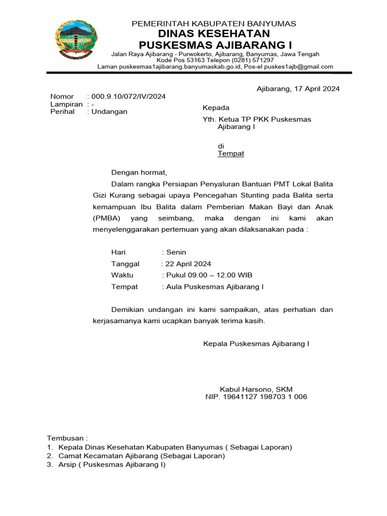 Undangan Tim Pelaksana PMT Lokal BOK | PDF