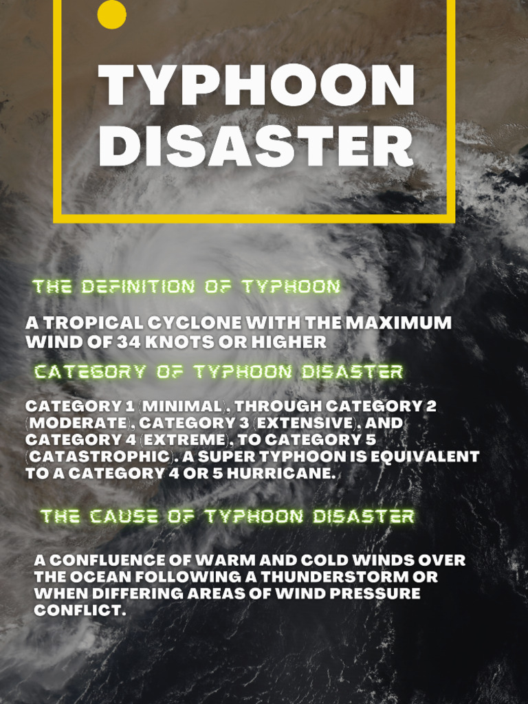 Typhoon Disaster | PDF