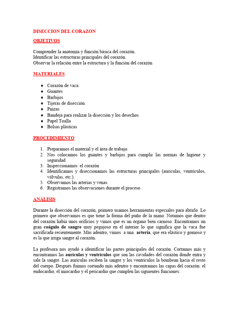 Diseccion Del Corazon | PDF | Corazón | Ventrículo (corazón)