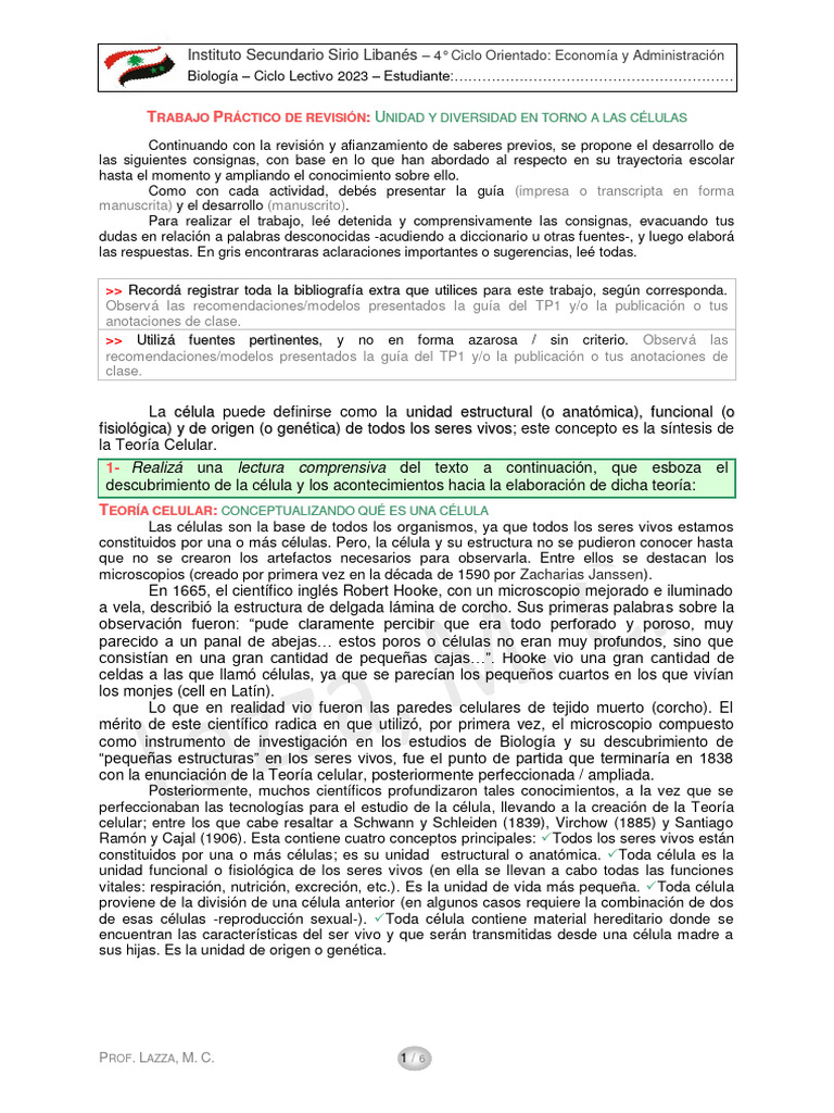 TP2 - Bio - 4° SirioL - 2023 | PDF | Biología Celular) | Eucariotas