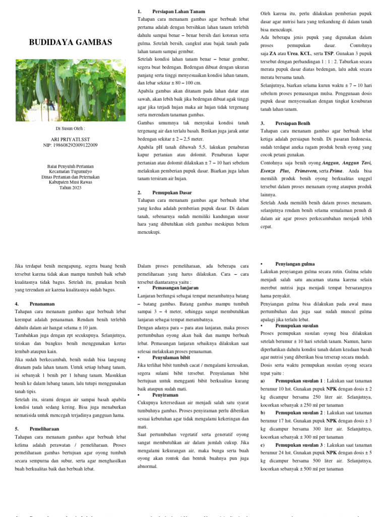 Budidaya Gambas | PDF