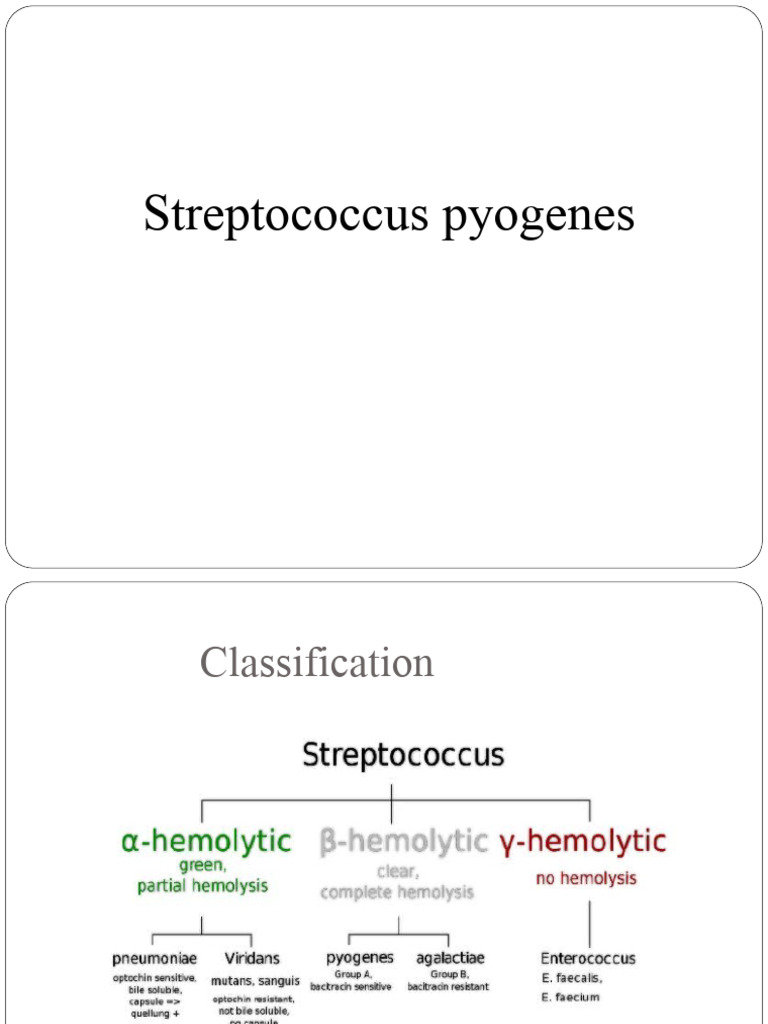 Overview of Streptococcus pyogenes | PDF | Streptococcus | Infection