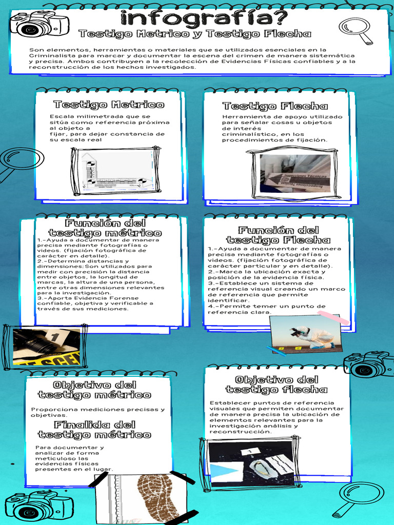Infografía Testigo Metrico | PDF | Ciencia forense | Science