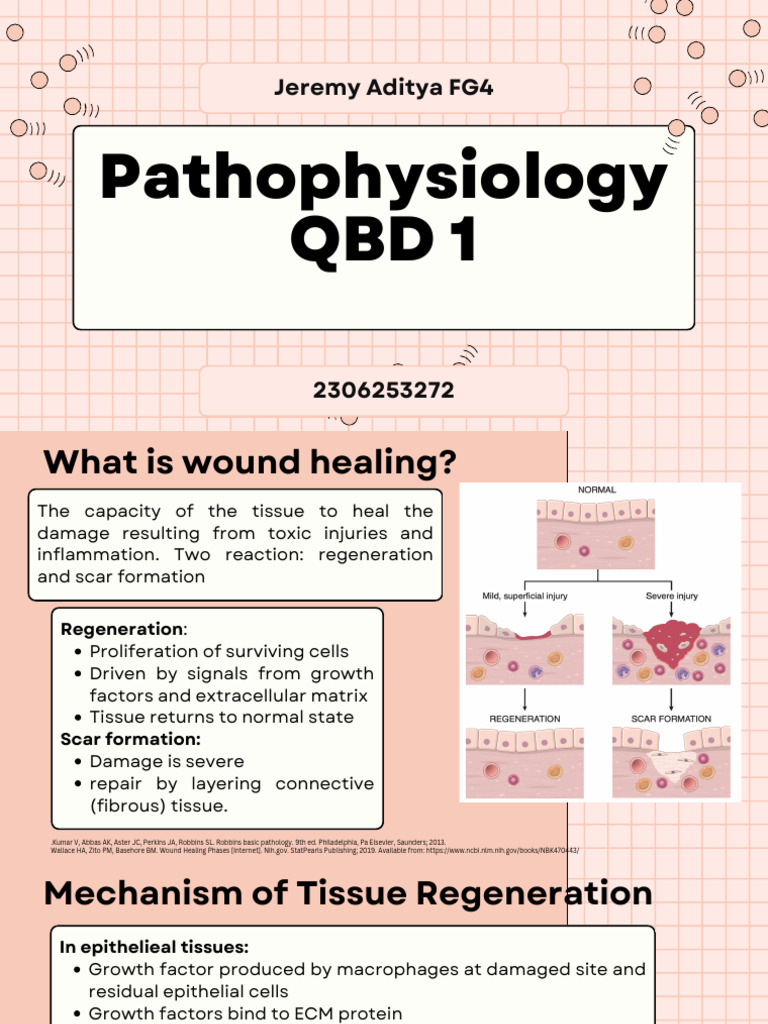 Jeremy Aditya - Pathof QBD 1 | PDF | Wound Healing | Angiogenesis