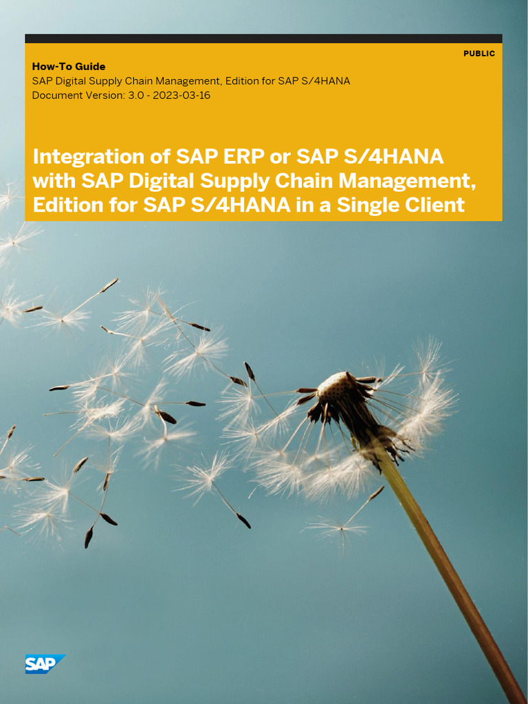 DSC Edition Cross-Solution Guide v03 | PDF | Enterprise Resource ...