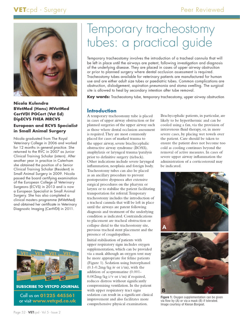 Temporary Tracheostomy Tubes A Practical Guide - Preview | PDF | Larynx ...