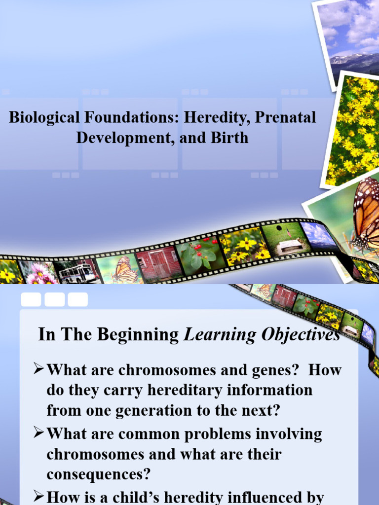 Chap 2 - Biological Foundations | Download Free PDF | Childbirth | Heredity