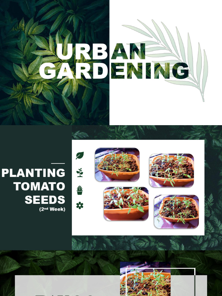 Week 2 - Urban Gardening | PDF | Home & Garden | Science & Mathematics