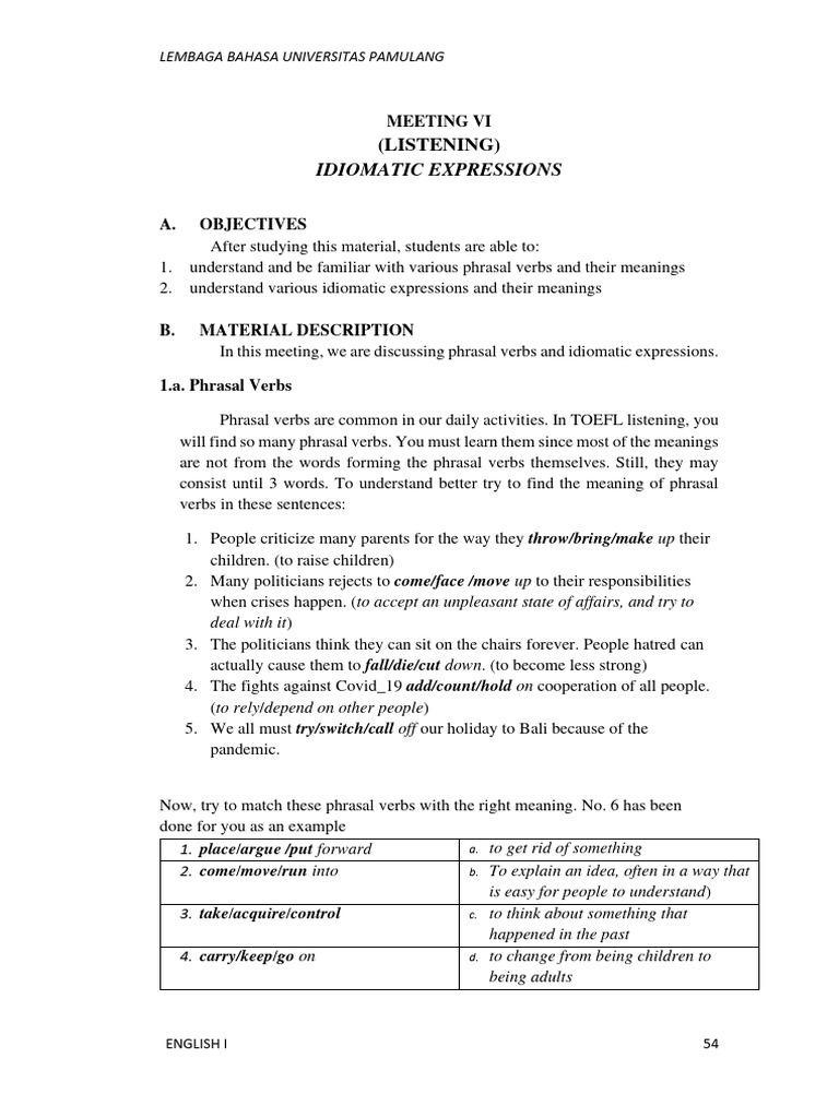 Basic Academic English Meeting 6 | PDF | Idiom