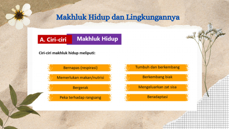 Penyampaian Materi Ipas X TSM (4 Agustus2023) | PDF Penyampaian Materi Ipas X TSM (4 Agustus2023) | PDF
